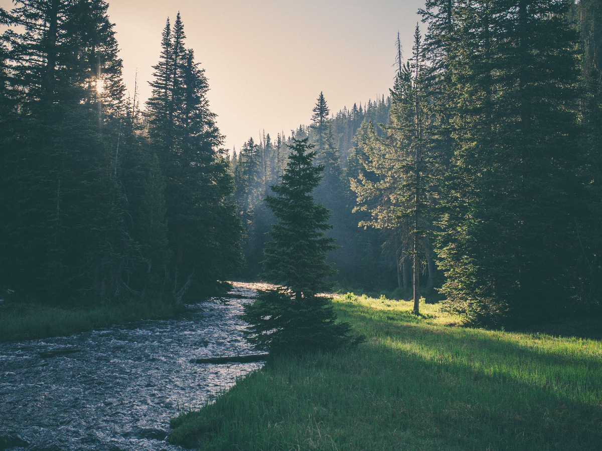 Katie Murch · About